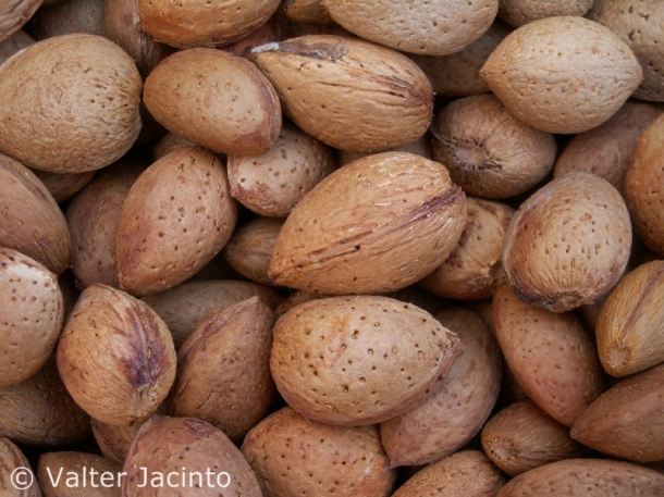 Como Fazer Amêndoas da Páscoa em Casa- Online24